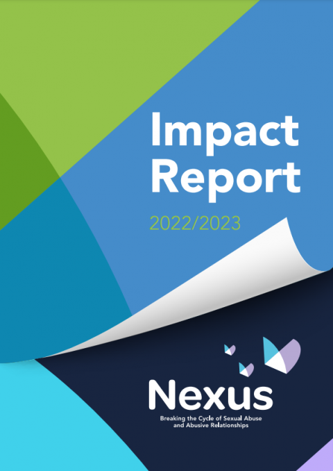 Publications - Nexus NI